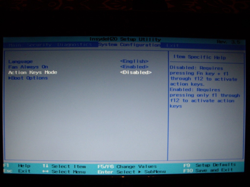HP Mini 100 – Making the Function Keys Function | Toggen