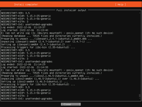 Ubuntu 22.04 Stuck on curtin command in-target | Toggen
